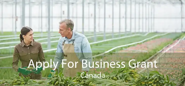 Apply For Business Grant Canada - Canada CDAP Assistance