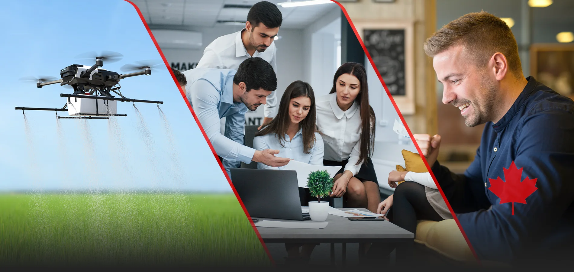 Canada Digital Adoption Program - Canada CDAP Assistance